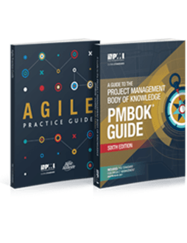 PMBOK® 6th Edition – Ricardo Viana Vargas